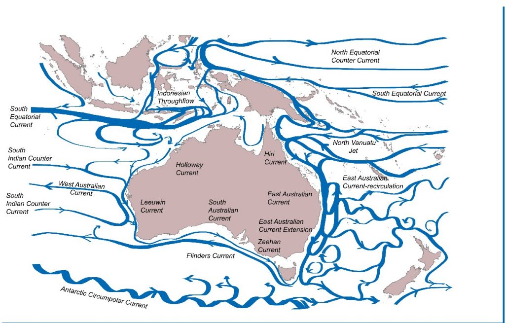 1.4. Variability in ocean currents around Australia – IMOS Ocean Report