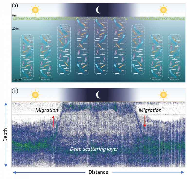 4.5. Australia’s twilight zone – IMOS Ocean Report